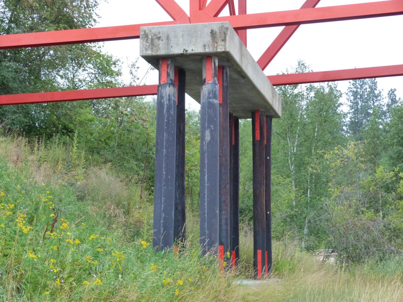 Tips for preserving timber bridges – The Bridge Guy