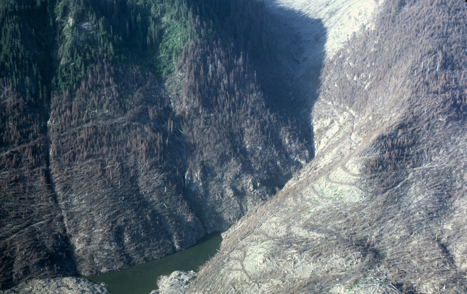 Mount St. Helens – 45 years later – The Bridge Guy
